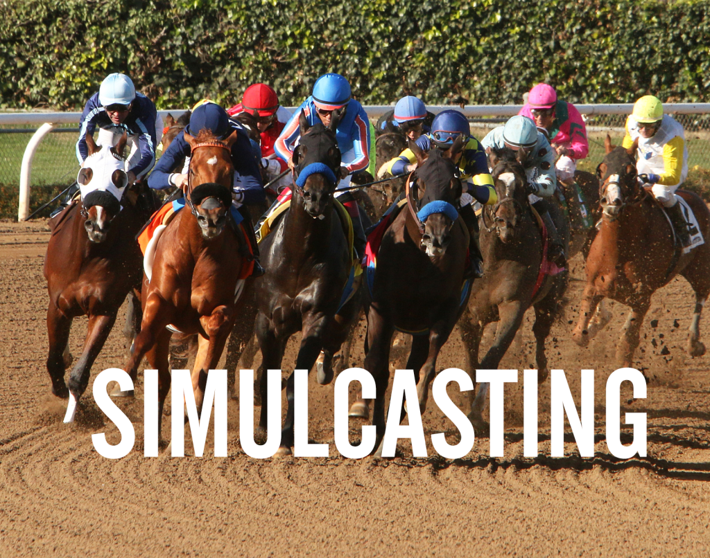 Horse racing may have hit a snag in interest and support - Part 2 - gamblersWORLD